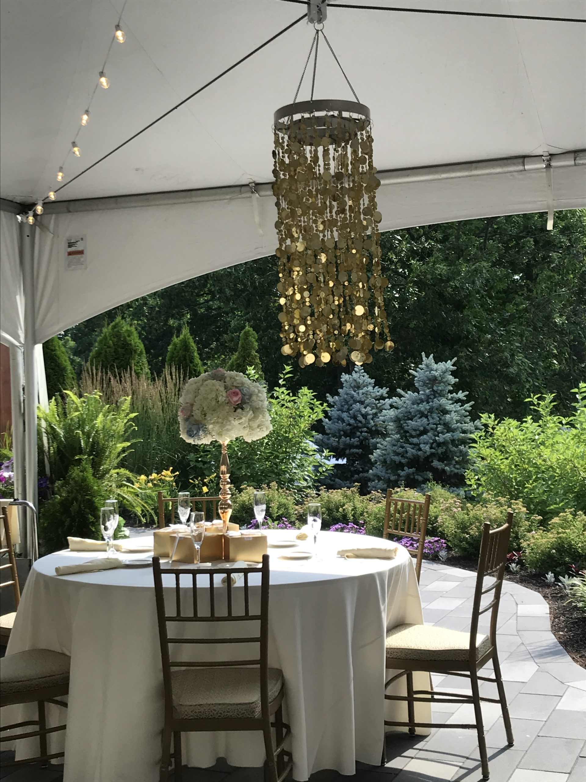 Gallery | Spinelli's